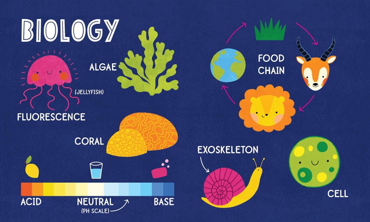 My First 100 Science Words – Dr Chris Education