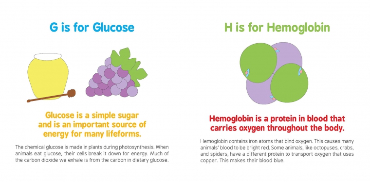 ABCs of Biology – Dr Chris Education