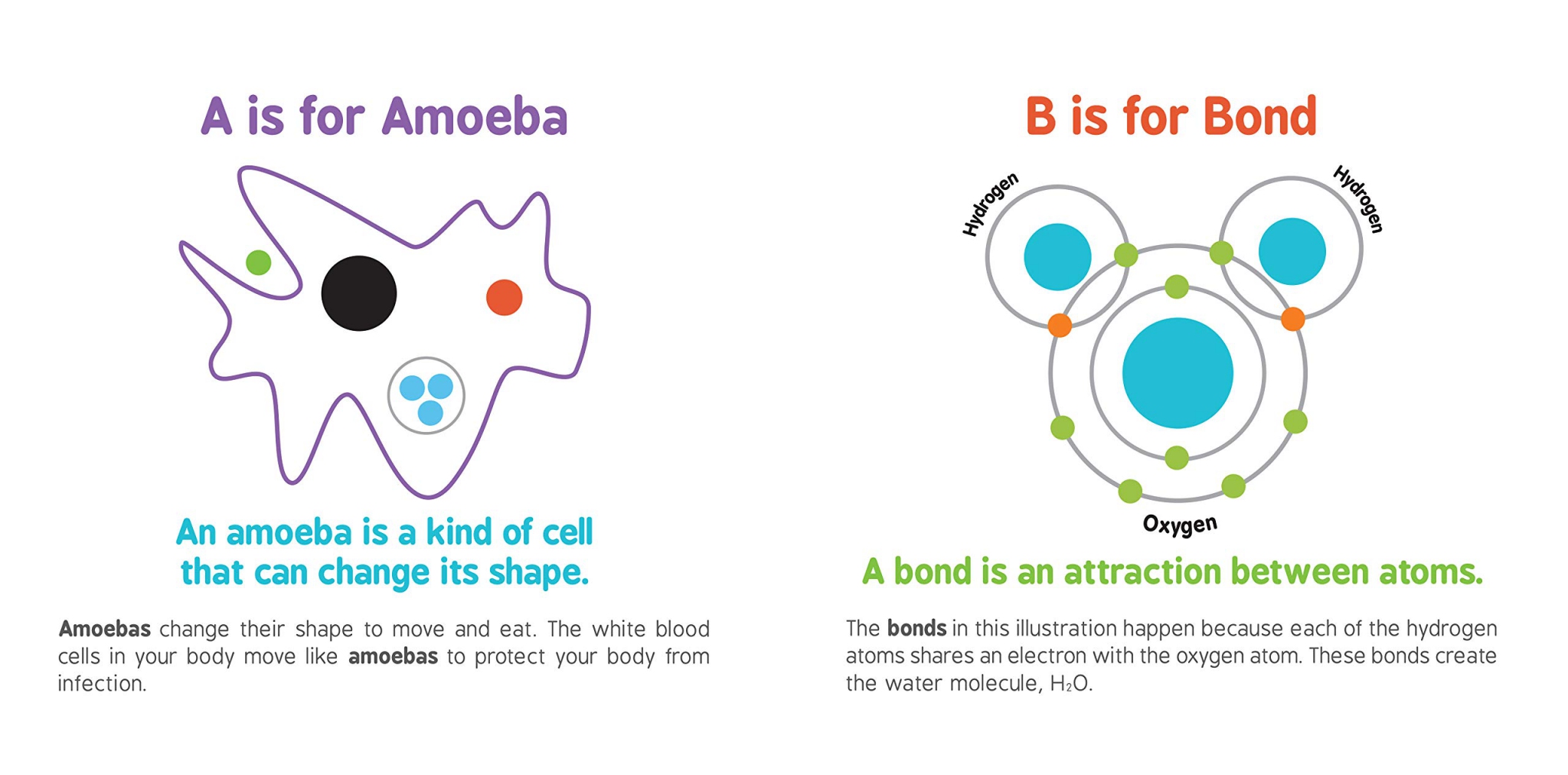 ABCs of Science – Dr Chris Education