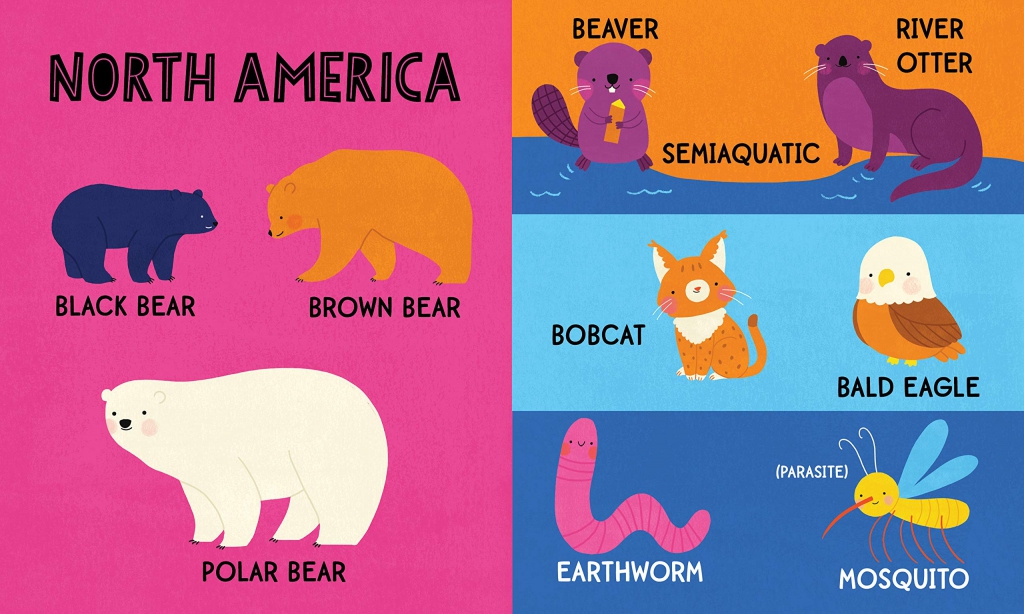 My First 100 Animal Words – Dr Chris Education