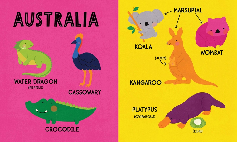 My First 100 Animal Words – Dr Chris Education