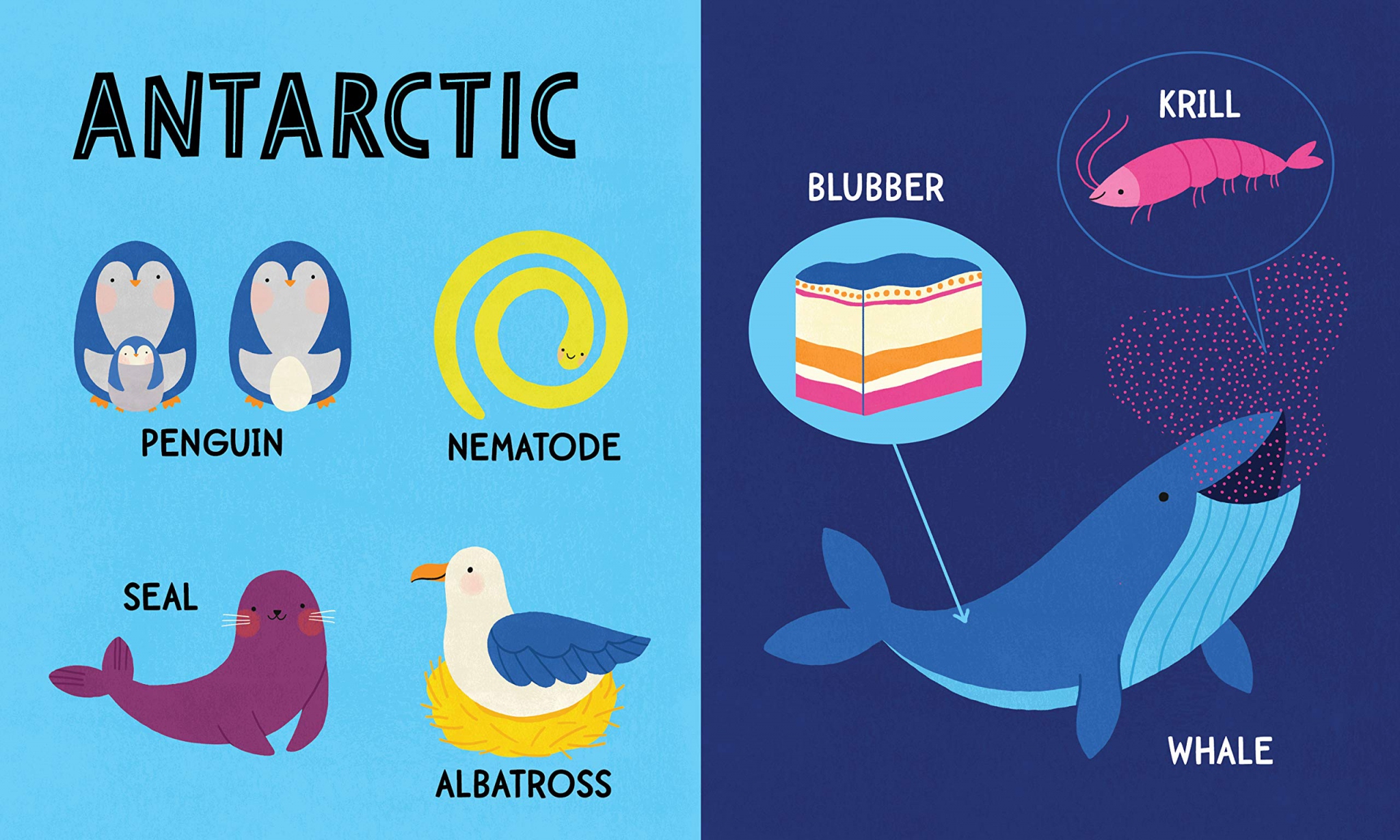 My First 100 Animal Words – Dr Chris Education